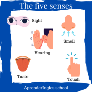 Los cinco sentidos en inglés - Aprender inglés